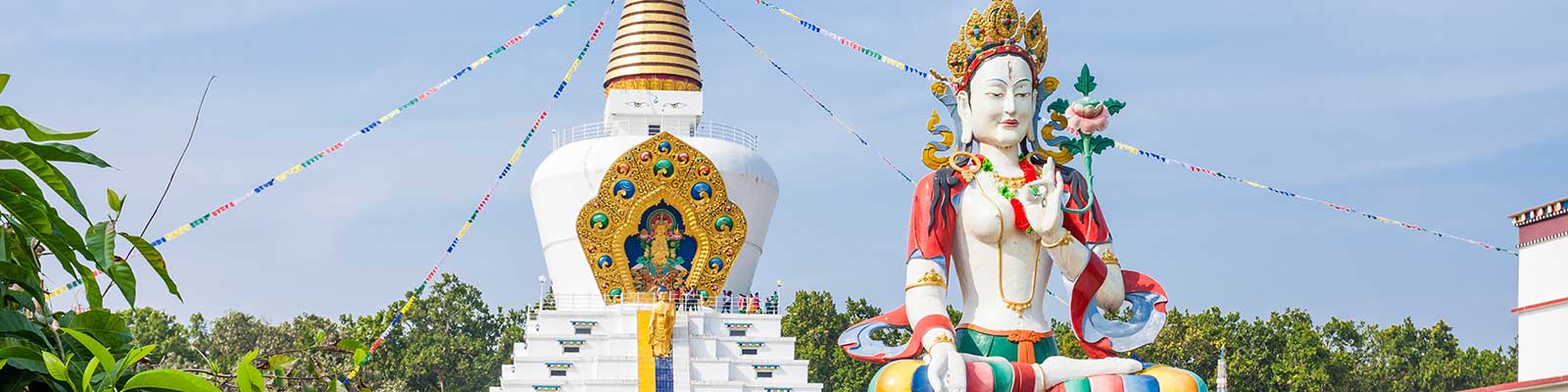 Hotels in Kimadi, Dehradun - Book Hotel Rooms from Rs.1057